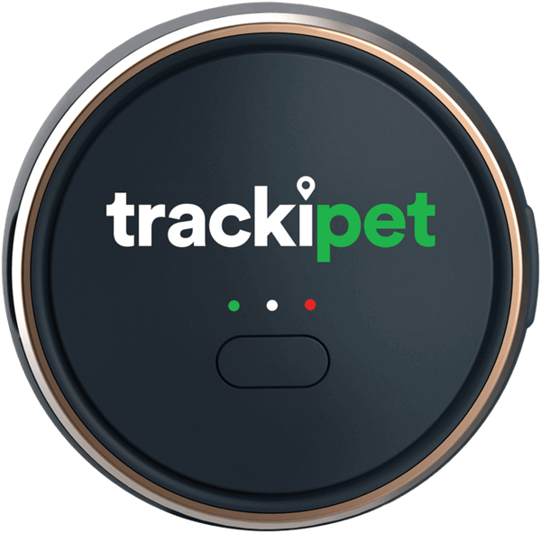 מכשיר GPS לכלבים TrackiPet טראקי - Tracki - באג